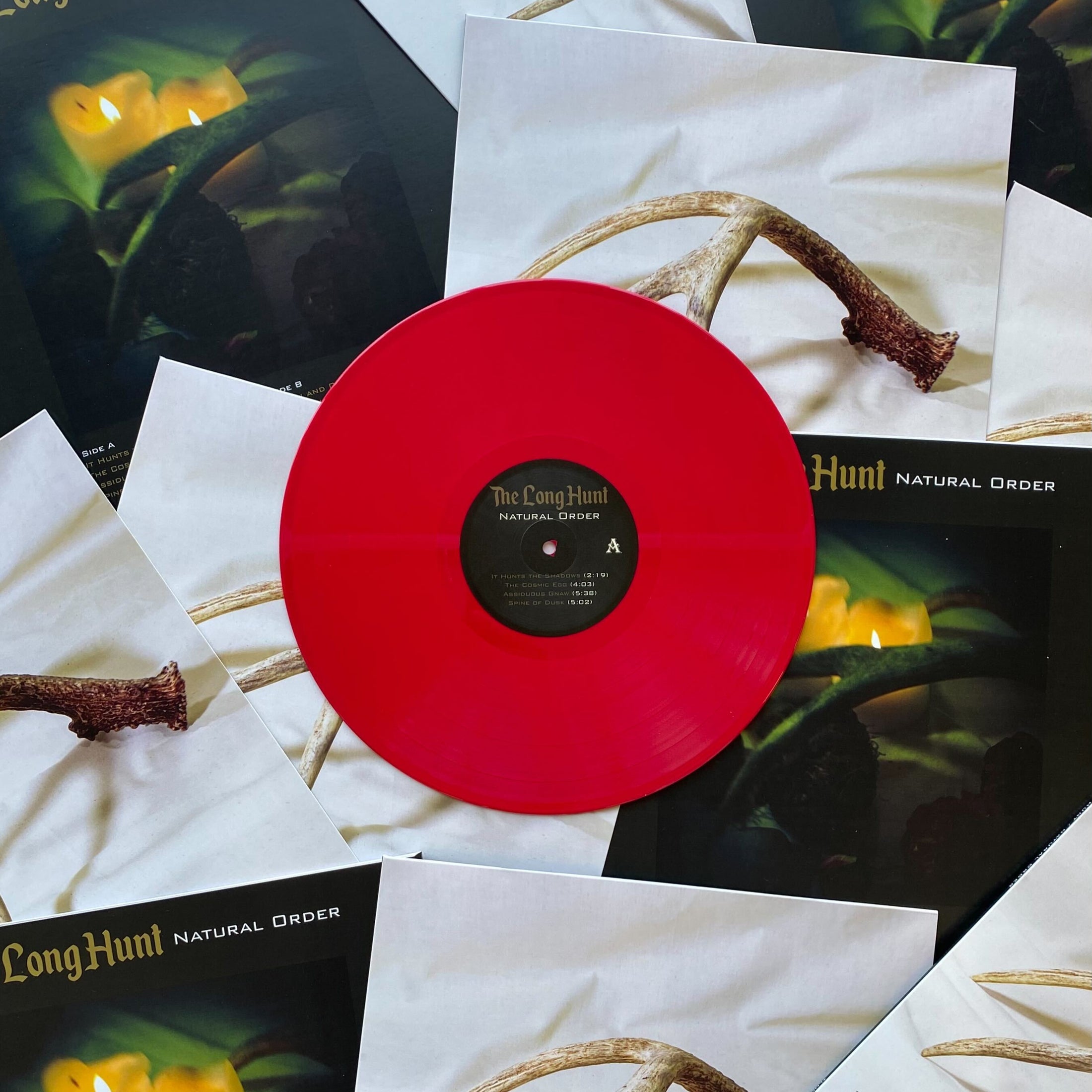 12" Vinyl Records - Red – Hellbender Vinyl