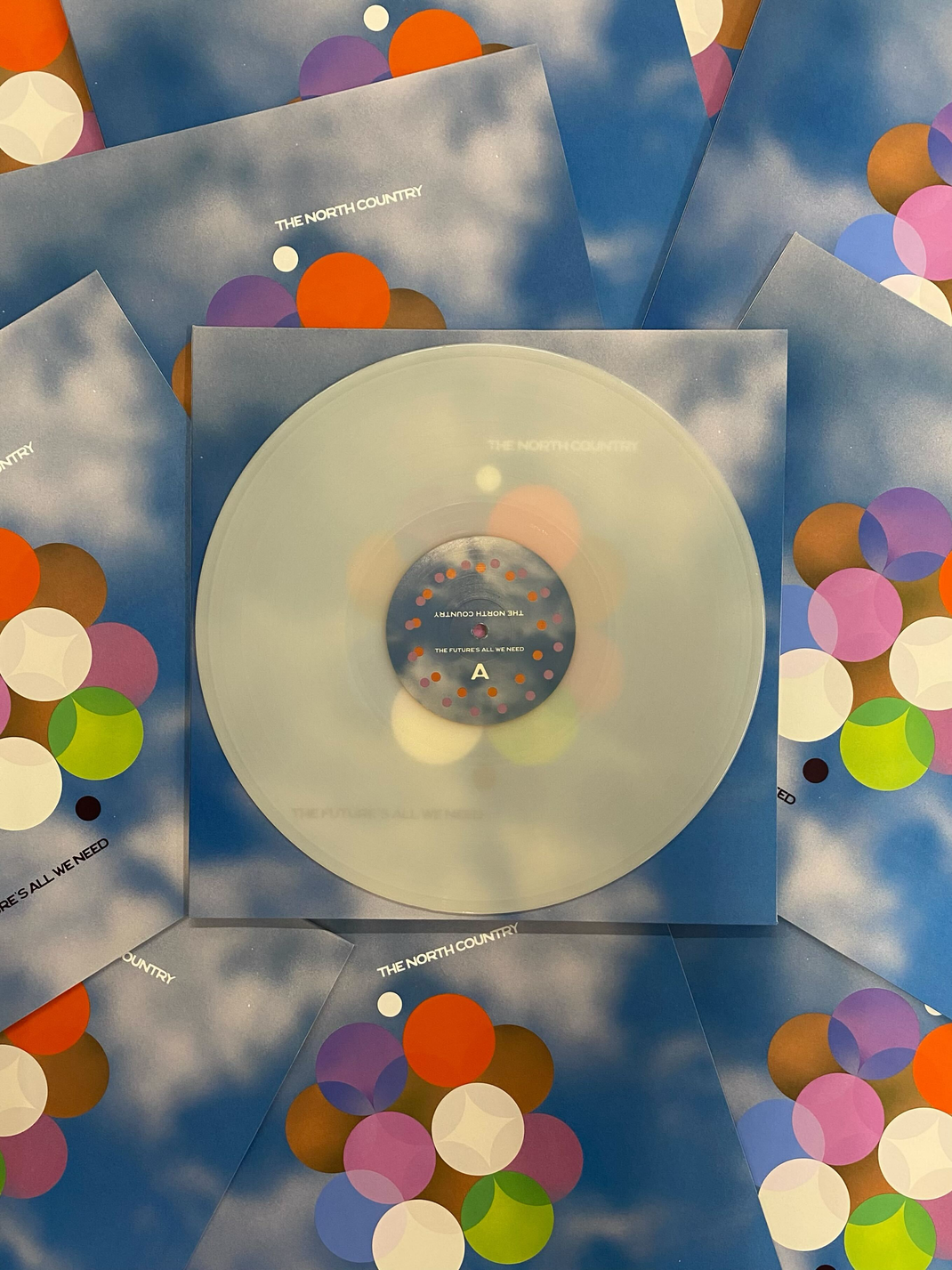 About Hellbender Vinyl | Pittsburgh, PA Record Manufacturing